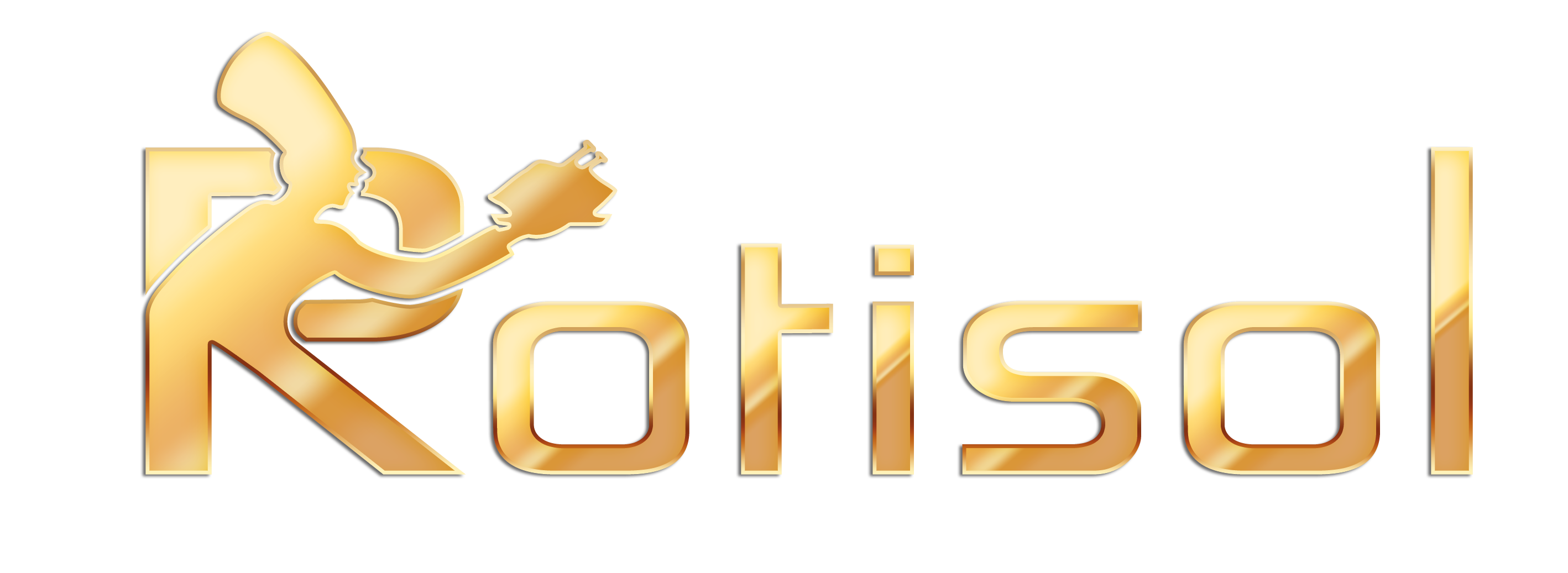 World leader in the manufacture of professional rotisseries